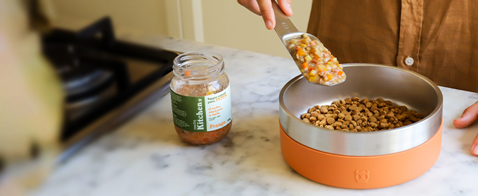 Zee.Dog Kitchen | Zee.Dog