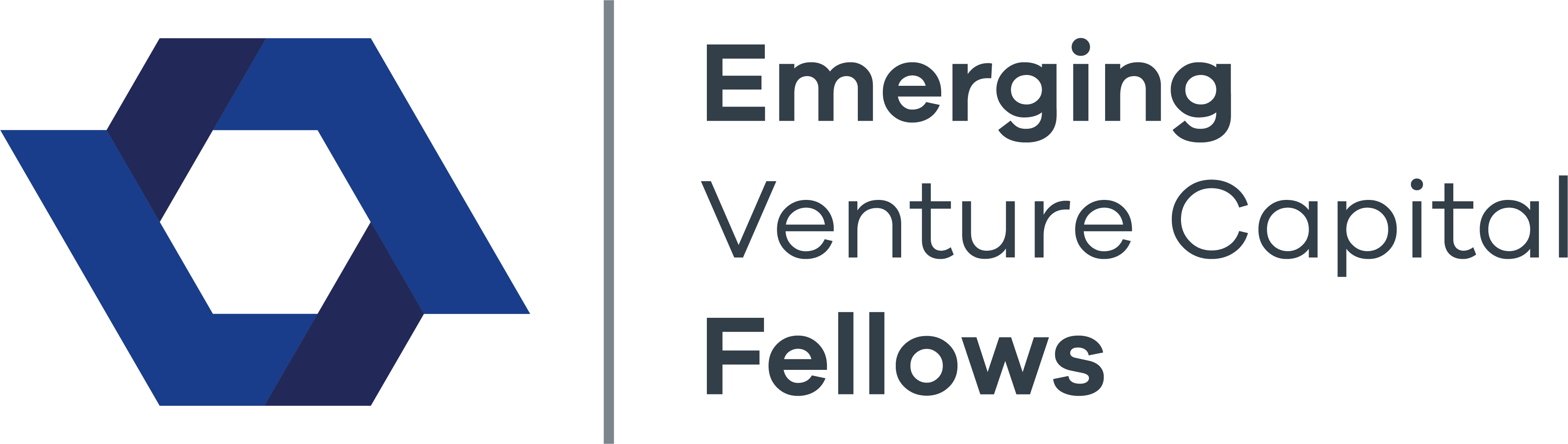 EVCFellows